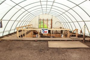 Gault Site Reveals Ancient Origins of Texas